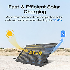EF ECOFLOW Portable Power Station RIVER 2 with 60W Solar Panel, 256Wh LiFePO4 Battery/ 1 Hour Fast Charging, Up to 600W Output, Solar Generator for Outdoor Camping/RVs/Home Use