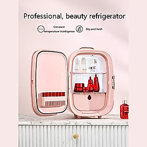 Doodran LED Mirror Beauty Mini Refrigerator for Bedroom Portable Compact Makeup Fridge to Skin Care Cosmetics Chill Perfect for Girls Woman,Pink