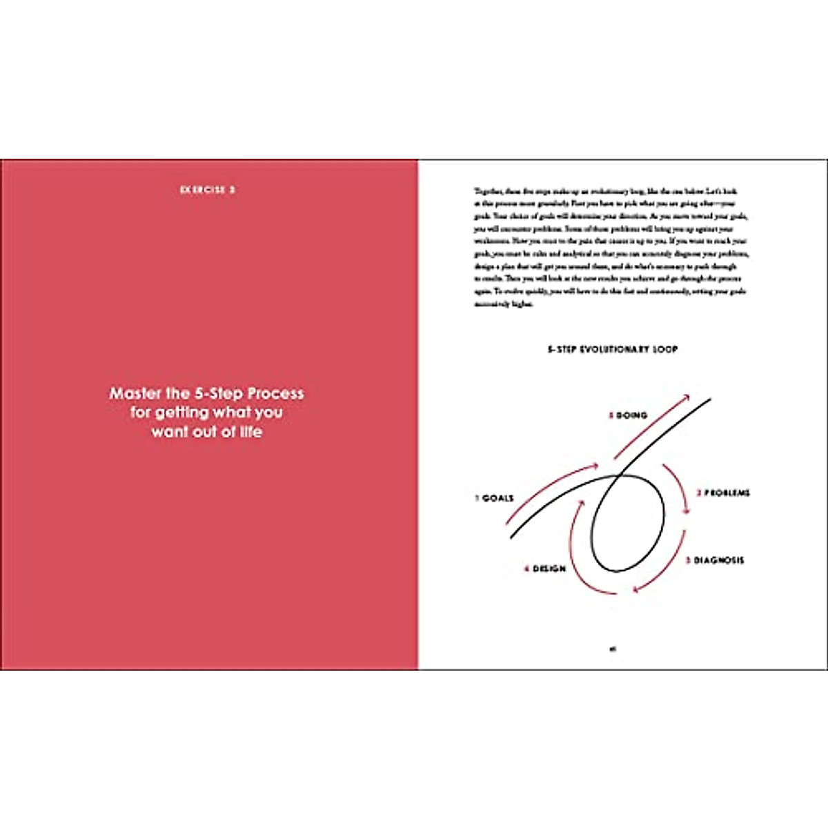 Principles: Your Guided Journal (Create Your Own Principles to Get the Work and Life You Want)