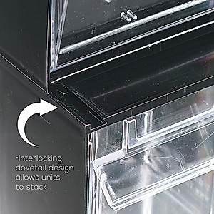 deflecto Tilt Bin Interlocking Multi-Bin Storage Organizer, 4 Sections, 23.63" X 6.63" X 8.13", Black/Clear