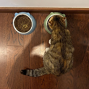 PINVNBY 2PCS Raised Cat Bowl Tilted 15° Slanted Elevated Bulldog Feeder Non-Spill Dog Kitten Food Dish Anti-Slip Detachable Pet Stainless Steel Slope Base for Small Pets Blue&Green