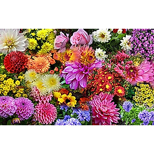 Flower Food by EZ-gro | 10-30-20 Blossom Booster is a Plant Food for all Blooming Plants | This Plant Fertilizer is both E Z to MIx and E Z to Use because it is a Liquid Plant Food