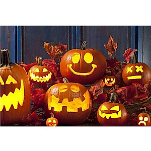 Niuelai Professional Heat Cutter Kit(16pcs),Hot Knife for Cutting & Carving Foam Making Stencils and Cutting Vinyl & Plastic,Multipurpose Stencil&Plastic Cutter for Fun Crafting