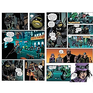 Teenage Mutant Ninja Turtles: The Last Ronin