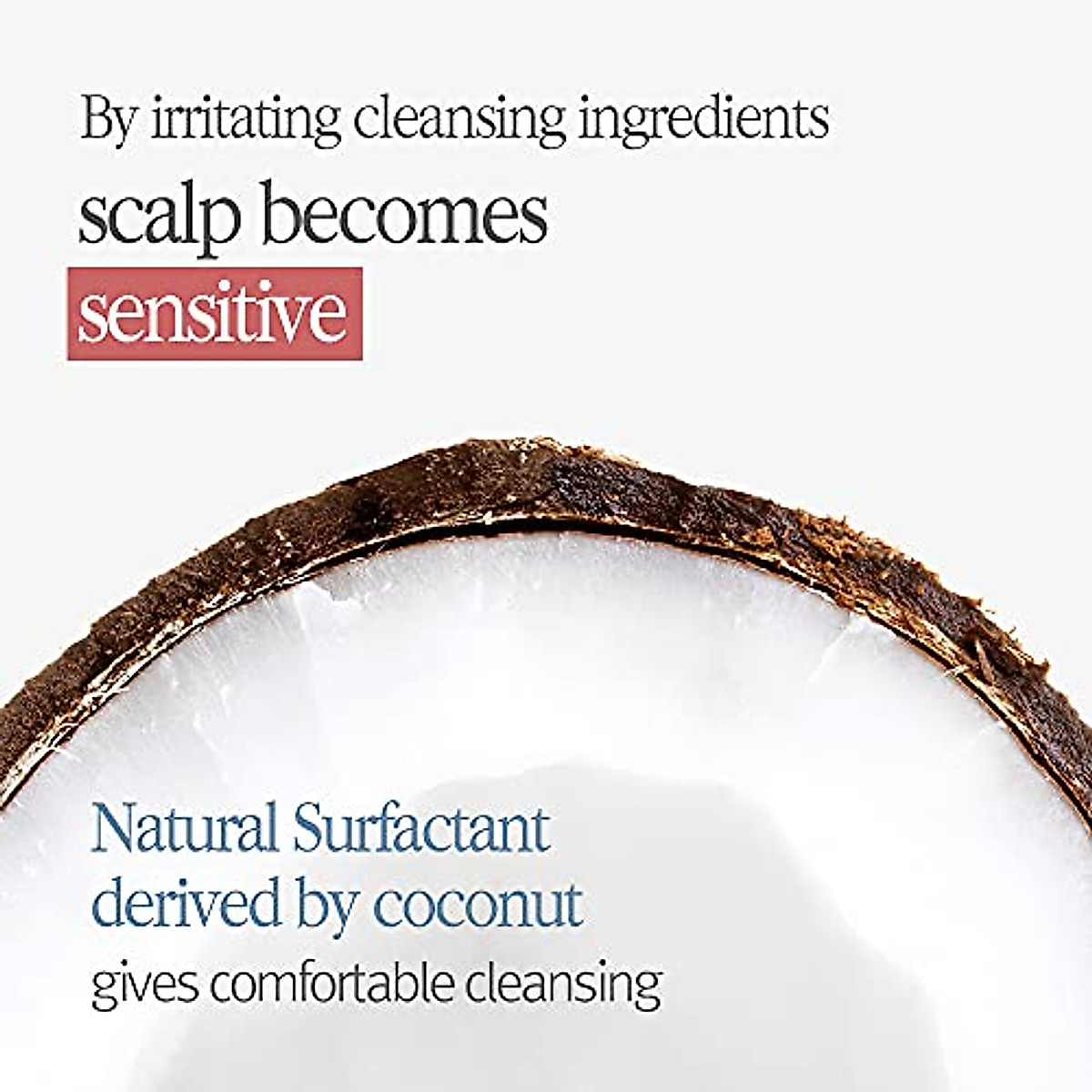 Bouquet Garni Shampoo Clean Fragrance 16.9 Fl Oz - Long Lasting Fragrance Dry Hair Moisturizing Shampoo - Scalp Moisturizer and Cleansing with Natural Surfactant - Amino Protein Natural Oil