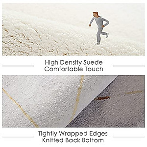 FINOREN Abstract Gold Line Area Rugs for Living Room,Bedroom,Hallway,Dining Room,Non-Shedding,Non Slip Backing,Floor Decoration Carpets,Gray-White,5'x7'