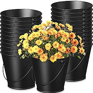 24 Packs 4.1 x 4.7 Inch Metal Buckets with Handle Small Iron Pail Metal Buckets for Party Black Bucket for Plant Candy Crafts Vase Favor Mini Toy Container School Storage and Party Supplies