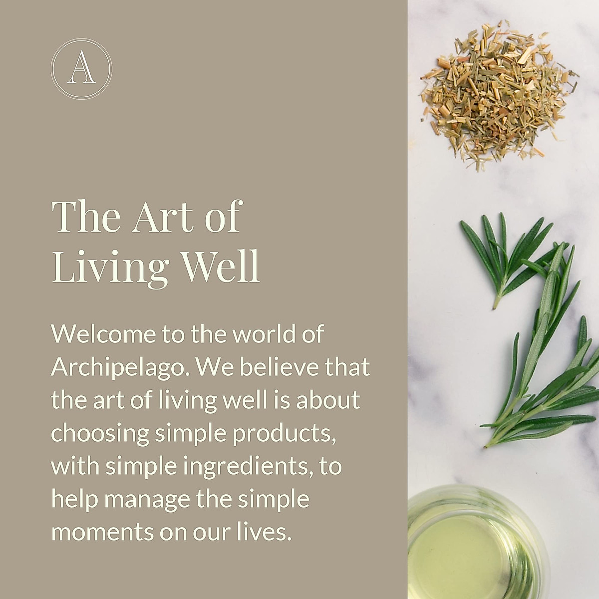 Archipelago Botanicals Milk Body Wash, Cleansing and Moisturizing Body Wash for Dry Skin, Soft and Smooth Skin, Free from Parabens, Phthalates and GMOs (33 oz)