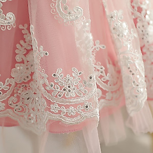 NNJXD Flower Girl Baby Lace Princess Party Pageant Gown Tutu Wedding Dress 790 Pink Size(90) 12-18 Months