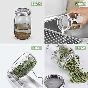 Complete Sprouting Jar Kit- 2 Wide Mouth Mason Jars with Premium 316 Stainless Steel Screen Lids, Blackout Sleeves,Tray, Stand - Seed Sprouter Set for Growing Broccoli, Alfalfa, Salad, Sandwich