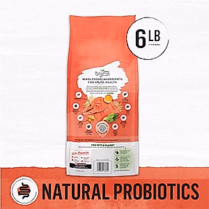 Purina Beyond Natural Wholesome Ingredients for Whole Health Dry Cat Food Salmon and Whole Brown Rice Recipe - 6 lb. Bag