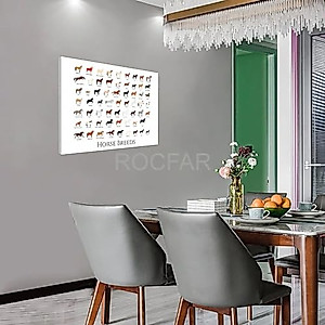 ROCFAR Horse Knowledge Poster World Horse Breeds Horse Care Retro Poster School Classroom Country Farm Canvas Poster Bedroom Decor Office Room Decor Gift Frame-style 20x16inch(50x40cm)