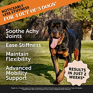 Pet Honesty Hip & Joint Health Max Strength - Natural Joint Supplement for Dogs Chews - Glucosamine, Omega-3s, Chondroitin, Green Lipped Mussel - Help Improve Mobility, May Reduce Discomfort (90 ct)