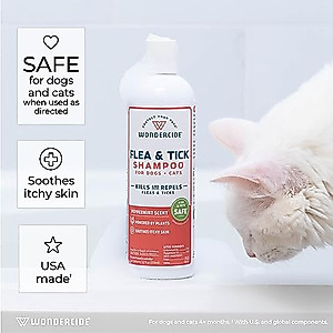 Wondercide - Flea & Tick Shampoo for Dogs and Cats - Flea and Tick Killer Treatment with Natural Essential Oils - for Pets Over 4 Months - Powered by Plants - 12 Fl oz