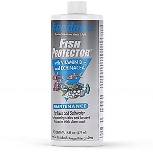 KORDON #31456 Fish Protector for Aquarium, 16-Ounce