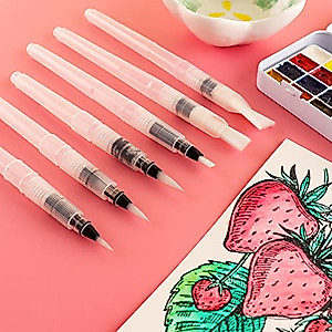 8 Pcs Alcohol Ink Blending Tool Set Including 6 Pcs Water Color Brush Pen 2Pcs Ink Air Blower for DIY Paint Tools Water Color Brush Pen Card Making Embossing Painting Rendering
