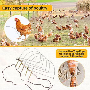 Professional Bird Trap Hunting Trap for Birds Bird Trap for Chicken, Pheasant，Wild Duck, Partridge Mallard and Other Birds Tying Birds' feet Won't Hurt Them