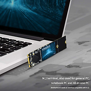 Kingdata SSD M.2 2280 1TB Ngff Internal Solid State Drive High-Performance Hard Drive for Desktop Laptop SATA III 6Gb/s (1TGB, M.2 2280)