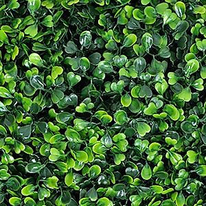 Goasis Lawn Artificial Hedge Boxwood Fence Plant, UV Protected Privacy Screen Outdoor Indoor Use, Garden Fence Backyard Home Decor Greenery Walls, 6 Pack