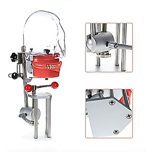 Teaching Head Model Plastic Educational Teeth Model Manikin Phantom Head Models Fix on Table