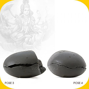 Vedic Vaani Garuda Vishnu Shaligram Shila (Pack of 4)