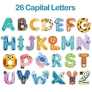 Wooden Magnetic Letters