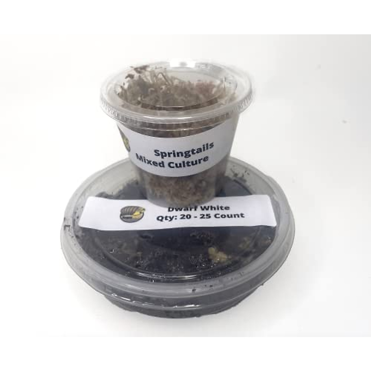 Bugzy Bugs Springtails & Dwarf White Isopods Live Bioactive Clean Up Crew Bundle Reptile Amphibian Food Bundle