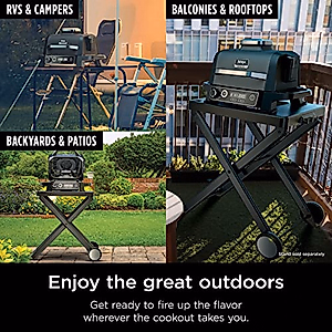 Ninja OG701 Woodfire Outdoor Grill, 7-in-1 Master Grill, BBQ Smoker, & Outdoor Air Fryer plus Bake, Roast, Dehydrate, & Broil, Woodfire Technology, with Robust Pellets