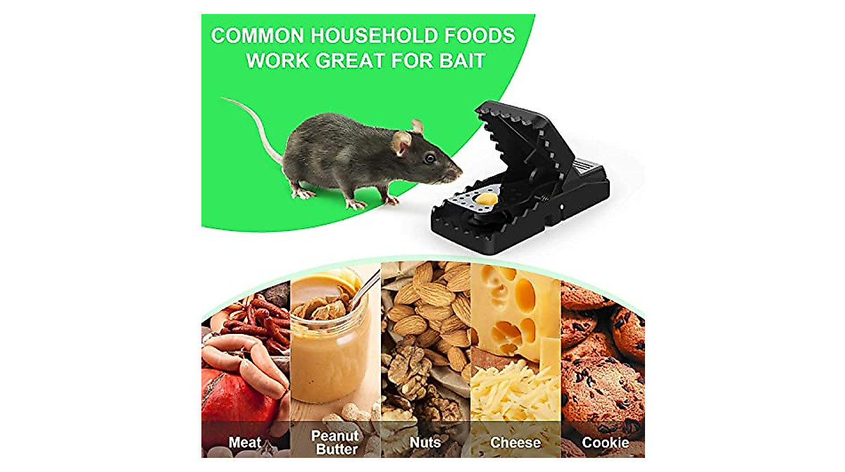 Effective Mice Traps Indoor & Outdoor | 6 Pack Humane Snap Traps