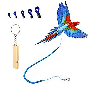 Parrot Bird Harness Leash Anti-bite Outdoor Blue Flying Training Rope with 5pcs Different Sizes of Soft Foot Loops and Training Whistle(Upgraded Version of Ankle Ring)