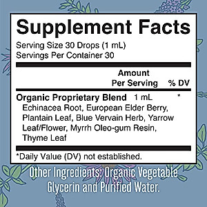 Lymphatic Drainage | Lymphatic Support Drops | USDA Organic Lymphatic Cleanse with Echinacea & Elderberry for Immune Support | Antioxidant & Immune Defense | Vegan | Non-GMO | 30 Servings