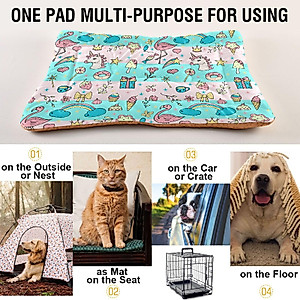 Coikll Cute Cartoon Pattern Pet Bed Pad Soft Dog Bed Mat with Anti-Slip Bottom, Machine Washable Crate Pad Mattress for Dog Sleeping- 36 * 24inches