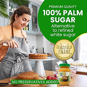 Four Elephants Premium Palm Sugar Non-GMO 16 oz (1)