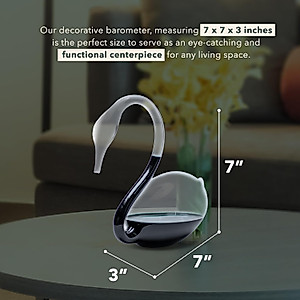 Blackswan Storm Glass Weather Predictor Crystal Swan Figurine | Unique Barometer Personal Weather Station for Office Home Decor for Men, Women, Kids, Adults | Liquid Pressure Meteorology Tools