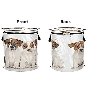 xigua Jack Russell Terrier Puppies Pop Up Laundry Hamper Bucket Cylindric, Foldable Clothes Bag, Folding Washing Bin,Large Capacity Zipper Lid Laundry Storage Basket