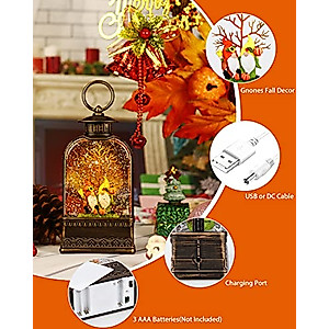 Gnomes Snow Globe, Fall Decoration, Thanksgiving Snow Globe Lantern, Christmas Snow Globe Musical Sparkly Swirling Snow, 3 Settings Batteries or USB Cable, Holiday Decoration (9.9Inch)