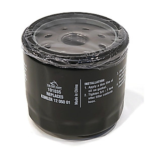 The ROP Shop Replacement Oil Filter Compatible with 492932 492056 5049 5076 695396 4049 4154