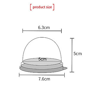 EchoDone 50 Set Clear Plastic Mini Cupcake Boxes Muffin Pod Dome Muffin Single Container Box Wedding Birthday Gifts Boxes Supplies (Silver)