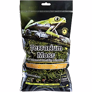 Galapagos (05211 Terrarium Sphagnum Moss, Fresh Green, 150in3 Header Bag