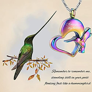 Yinplsmemory Cremation Jewelry Hummingbird Urn Necklace for Ashes Stainless Steel Heart Cremation Lockets for Ashes Holder