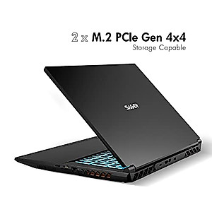 Sager 2023 NP7881E Gaming Laptop, 17.3 Inch FHD 144Hz 72% NTSC, Intel i9-13900HX, RTX 4070 8GB, 64GB RAM, 2TB Gen4 NVMe SSD, TBT 4, Win 11