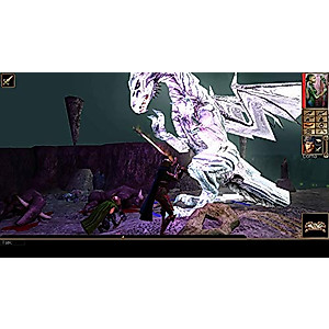 Neverwinter Nights: Enhanced Edition - Nintendo Switch
