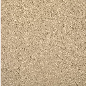 Ames Safe-T-Deck Granulated Formula Exterior Paint - 1 Gallon Khaki Tan Paint - Great for Porches, Patios, Decks, Walkways and More - Made in The USA, 128 Fl Oz (Pack of 1), 1.00 Gallon (Pack of 1)