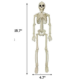 Halloween Skeletons, Halloween Decorations Skull, 16" Full Body Realistic Faux Human Skeleton, Halloween Decor for Haunted House Props