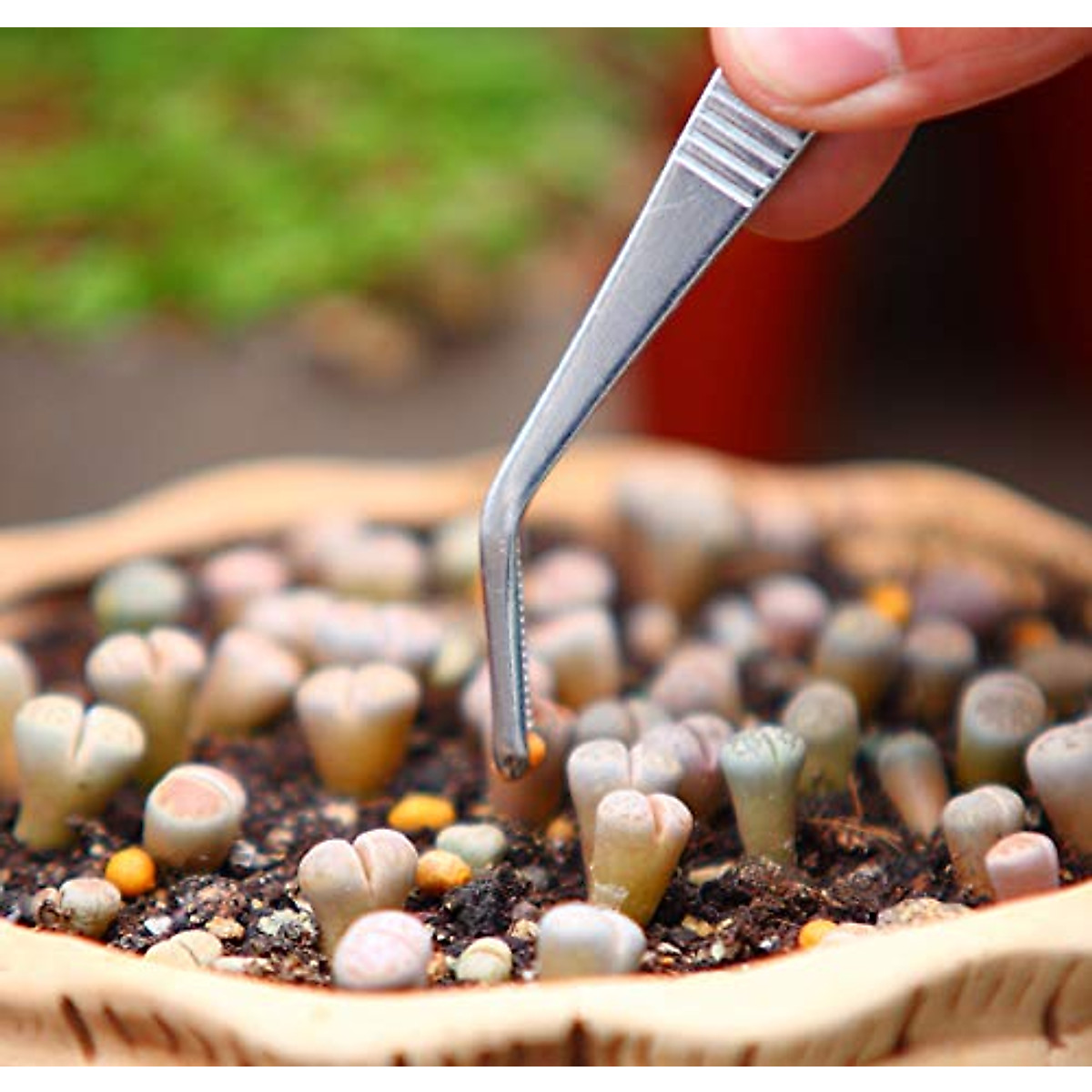 KMHIGH Stainless Steel Tweezers Set, For Small Gardening and Kitchen, Multi-Purpose Tools. (3Pcs, 6.15Inches / 6.3Inches / 6.5Inches)