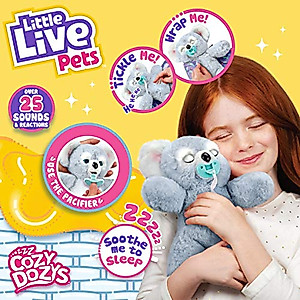 Little Live Pets Cozy Dozy Kip The Koala Bear - Over 25 Sounds and Reactions | Bedtime Buddies, Blanket and Pacifier Included | Stuffed Animal, Best Nap Time, Interactive Bear - Styles May Vary
