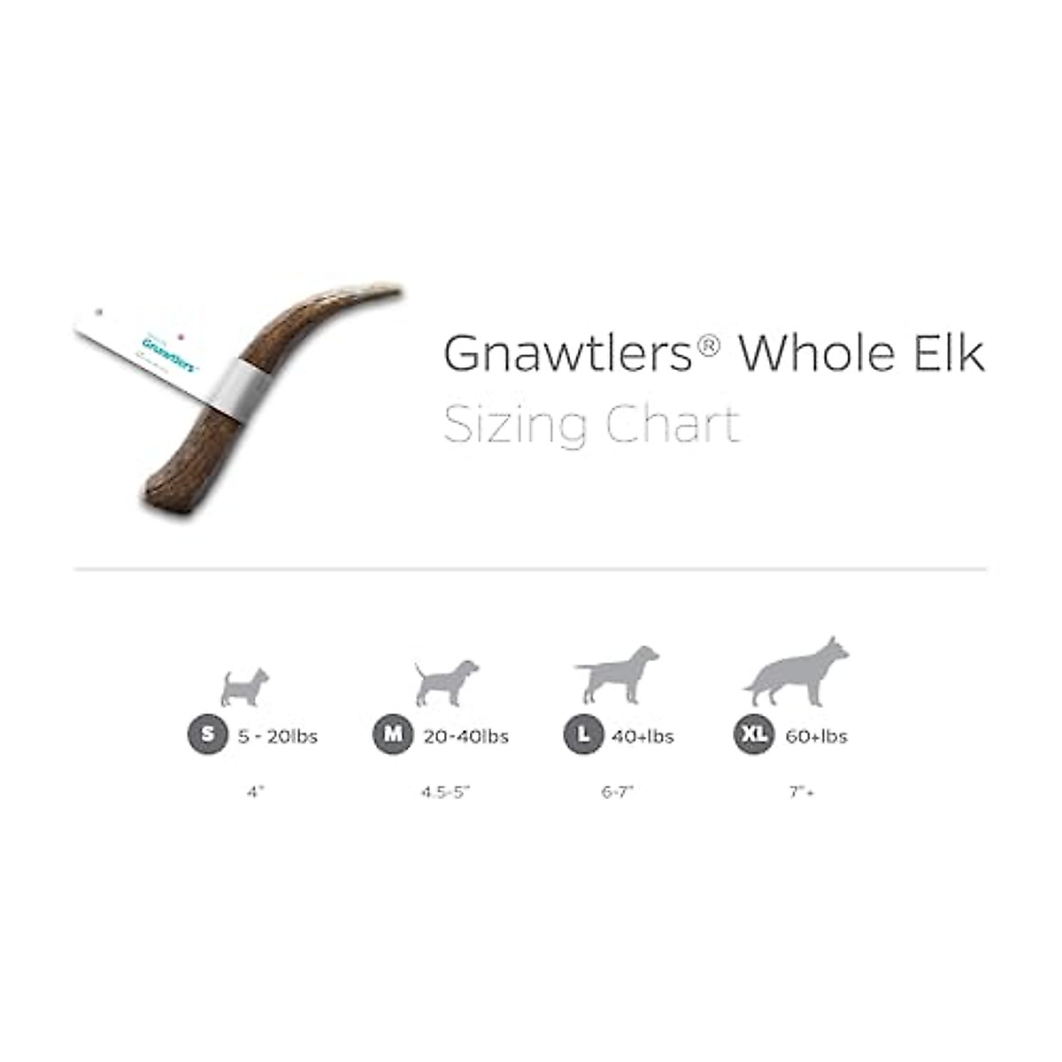 Pet Parents® Gnawtlers® - Premium Elk Antlers for Dogs, Naturally Shed Elk Antlers, All Natural Elk Antler Dog Chew, Specially Selected from The Heartland Regions (Large)