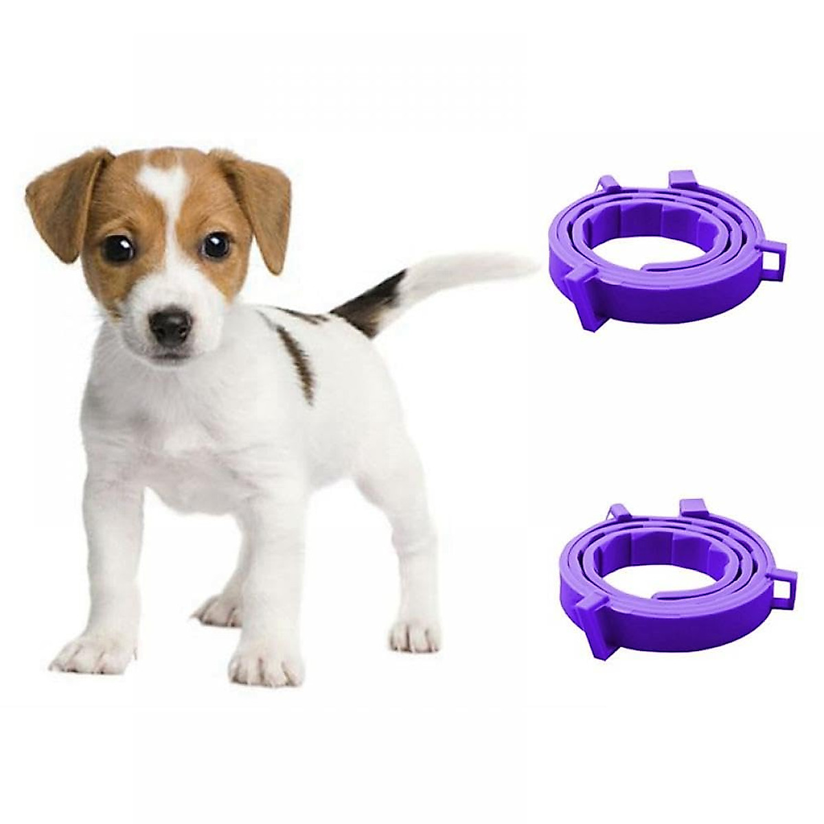 KAYNO Purple Cat Calming Collars Adjustable Cat Pheromones Calming Collars with 1 Bells Reducing Anxiety for Pets Suitable Cat Relaxants for Small Medium and Large Cats (15 Inches)
