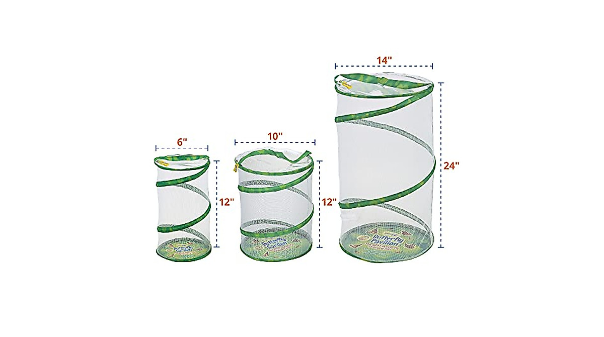 Insect Lore Butterfly Habitat - 3 Pack Terrariums