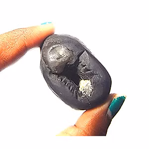 XUETZALCOATL Adwaitya Krishna Pradyumn Anirudh Maha Vishnu Shaligram Nepal Kali Gandaki